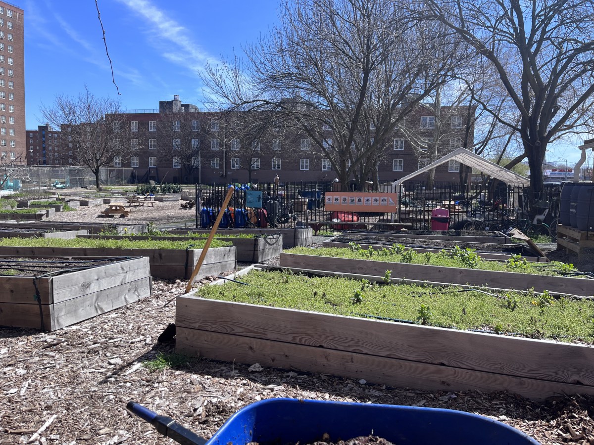 We all start somewhere! – Write That Down Lay